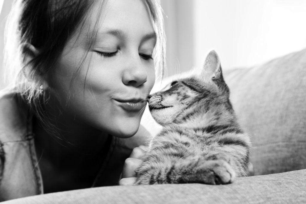 Conseils pour un animal serein - Petscool
