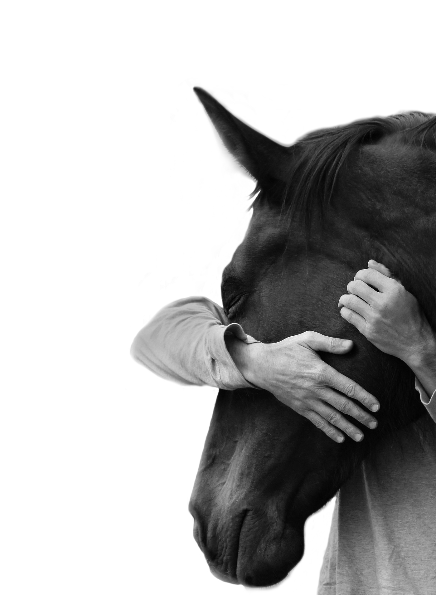 Les signes de stress - Petscool