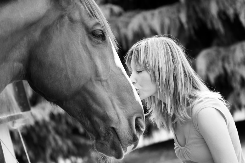 Conseils pour un animal serein - Petscool