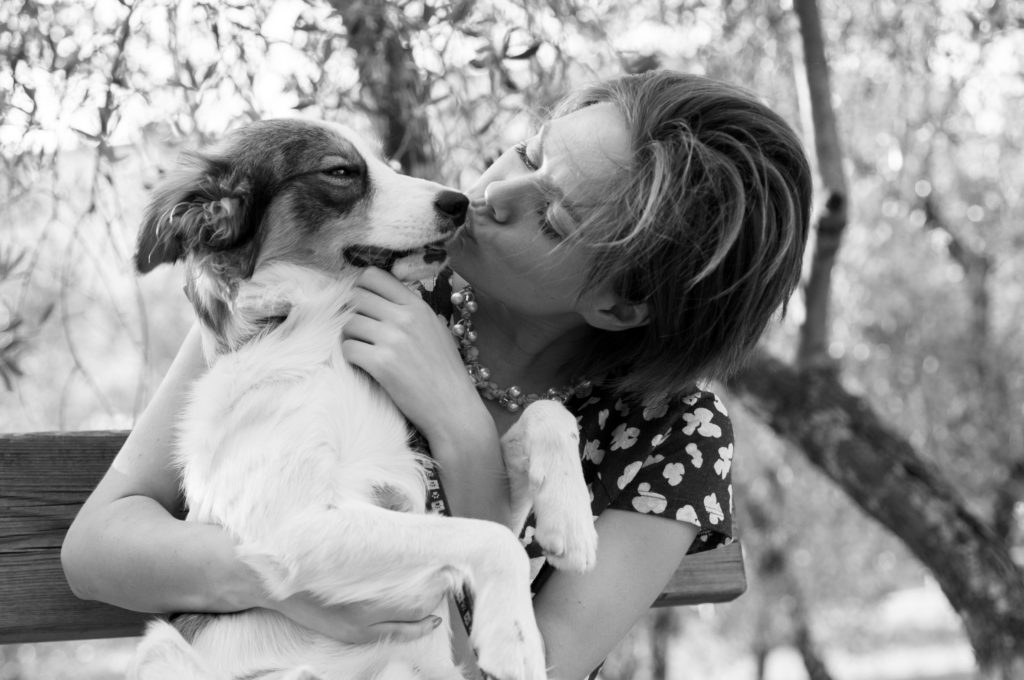 Conseils pour un animal serein - Petscool